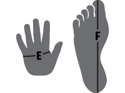 Lidl Size Calculator